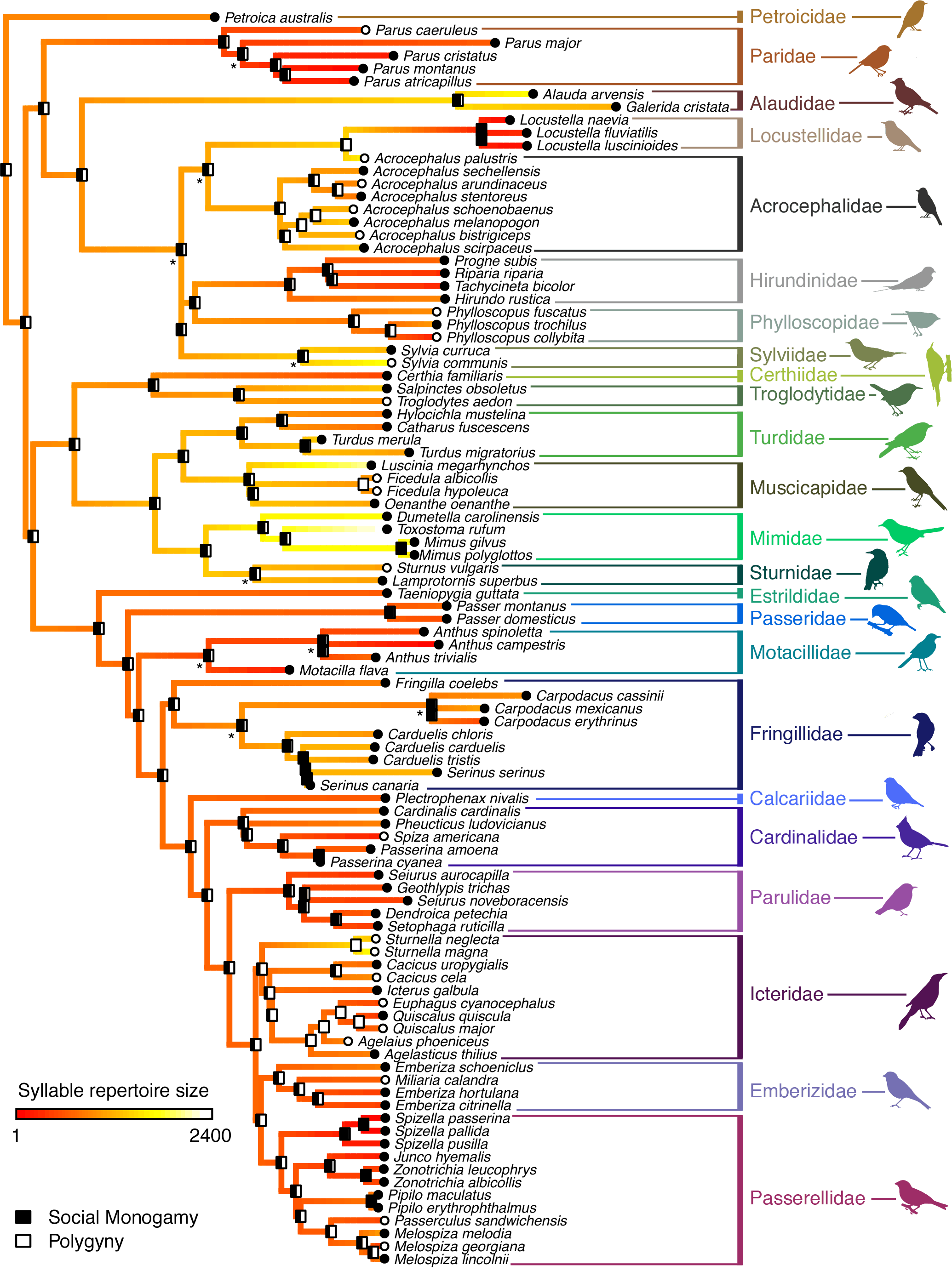 Bird Science: A common Conception About a Bird's Song Upended in New Study