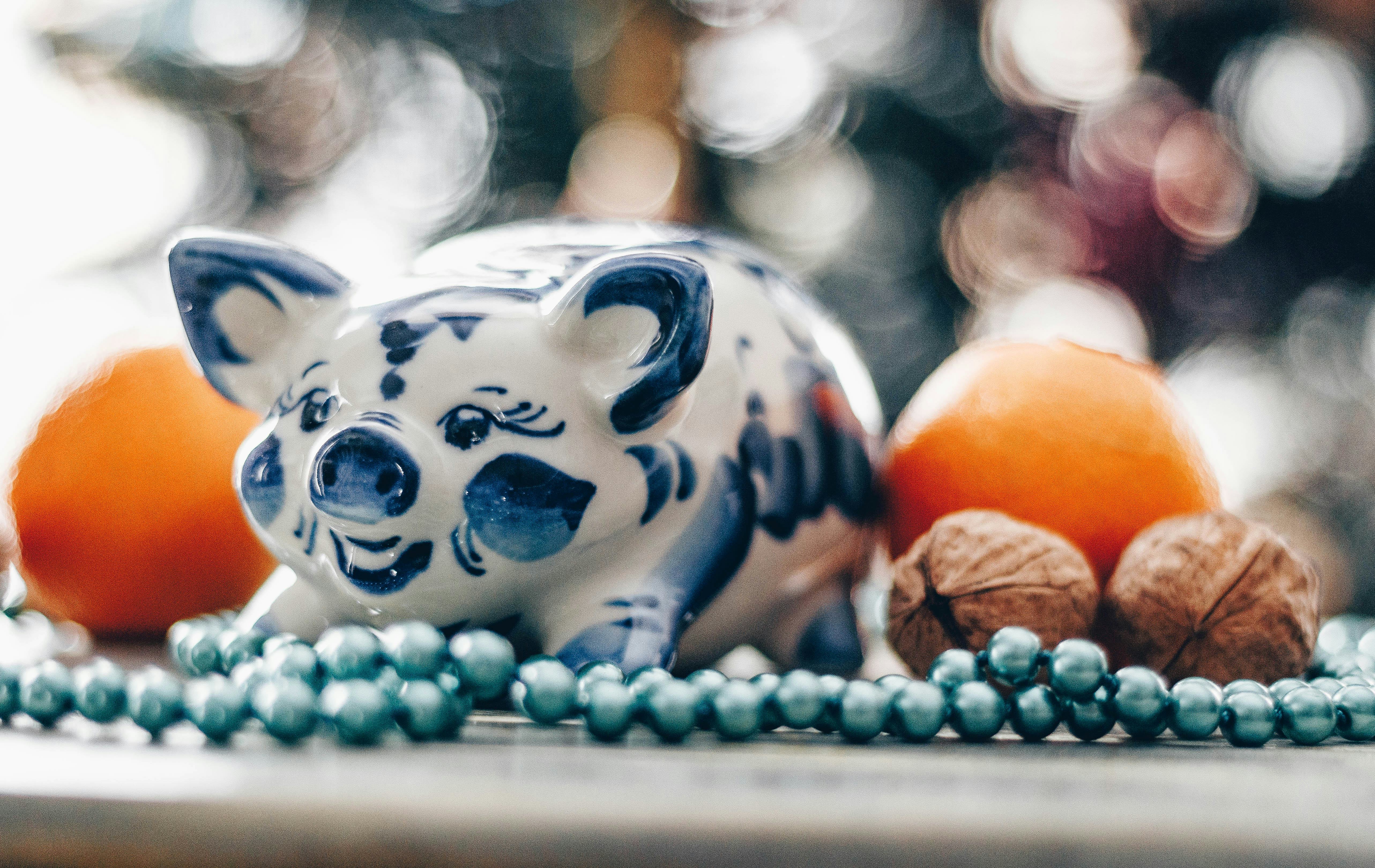 Lunar New Year: Why the Pig Zodiac Sign Is Important in 2019