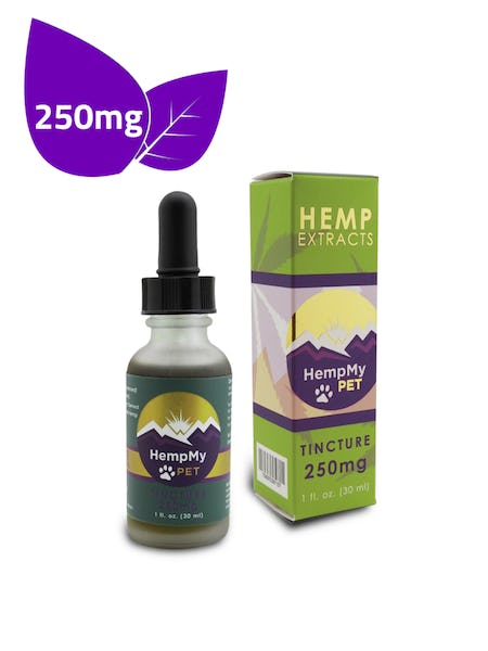 Is CBD Safe for Your Dog? Why Some Owners Swear by the Promising Results