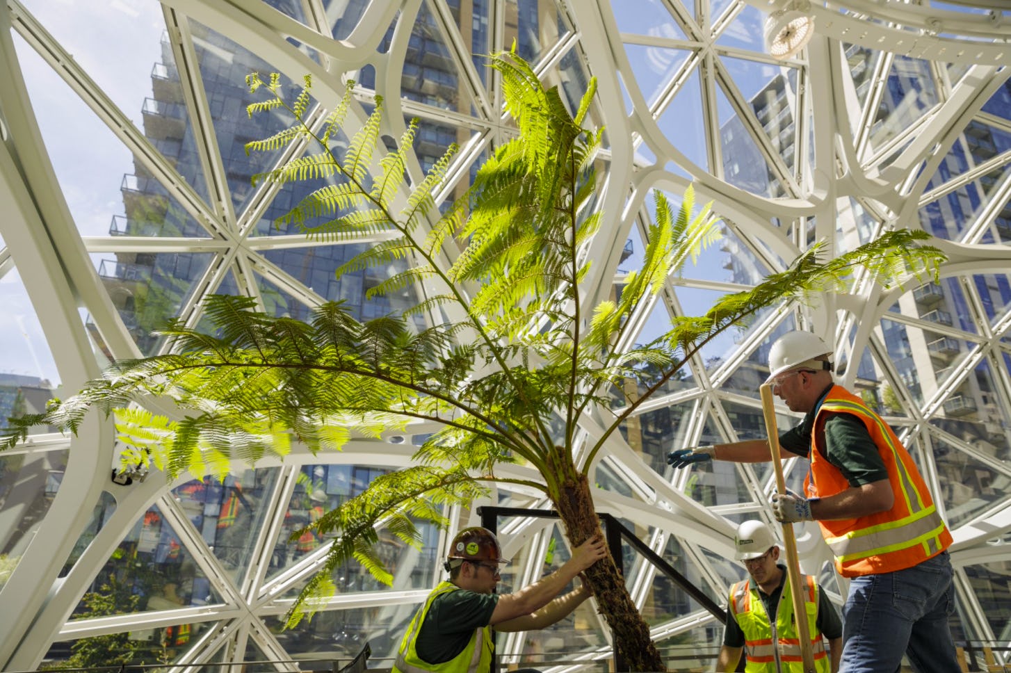 Amazon is Putting 40,000 Plants into Huge "Biospheres" in Seattle