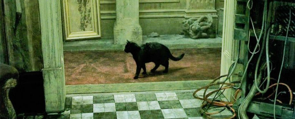 Déjà Rêvé: Video Explains the Creepier Version of Déjà Vu