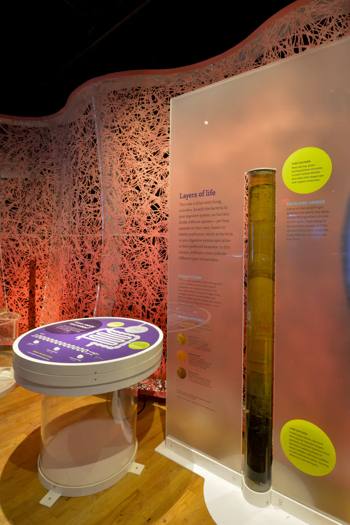 I Contain Multitudes: Microbiomes at the American Museum of Natural History
