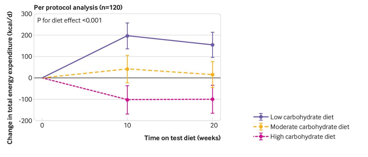 Harvard Researchers Identify Which Diet Increases Calorie Burning at Rest