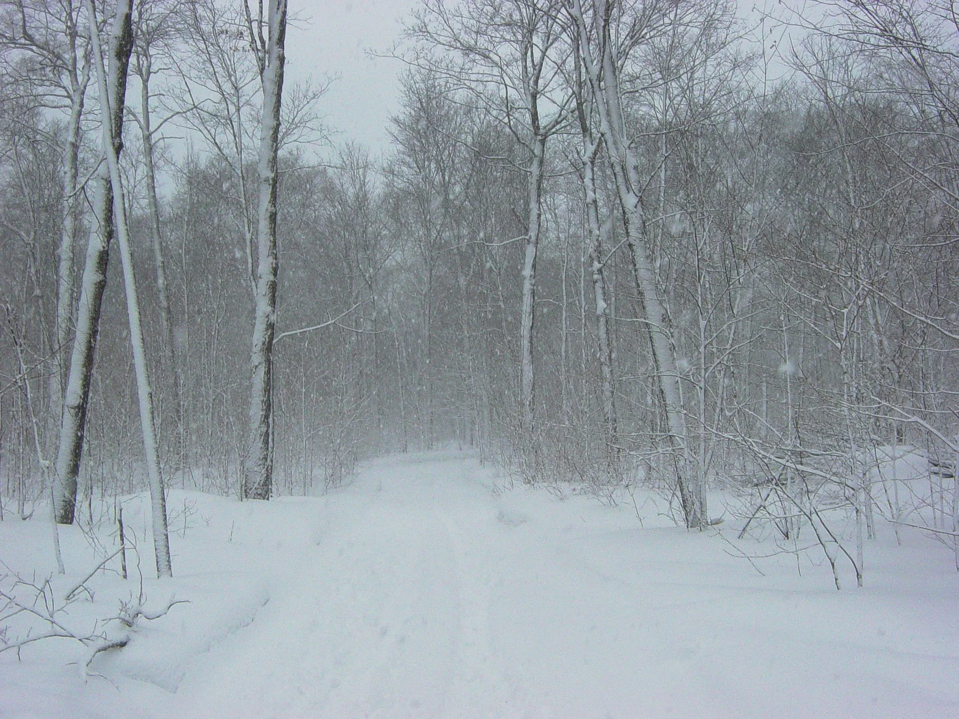 Cloud Seeding: Why Scientists Are Trying to Make It Snow