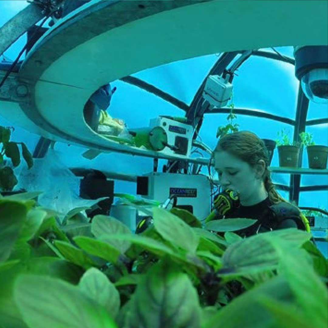 Video: World's First Underwater Farm May Be the Future of Agriculture