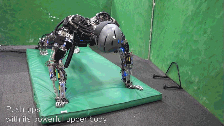Will Robots Replace Personal Trainers? These Humanoids Just Might