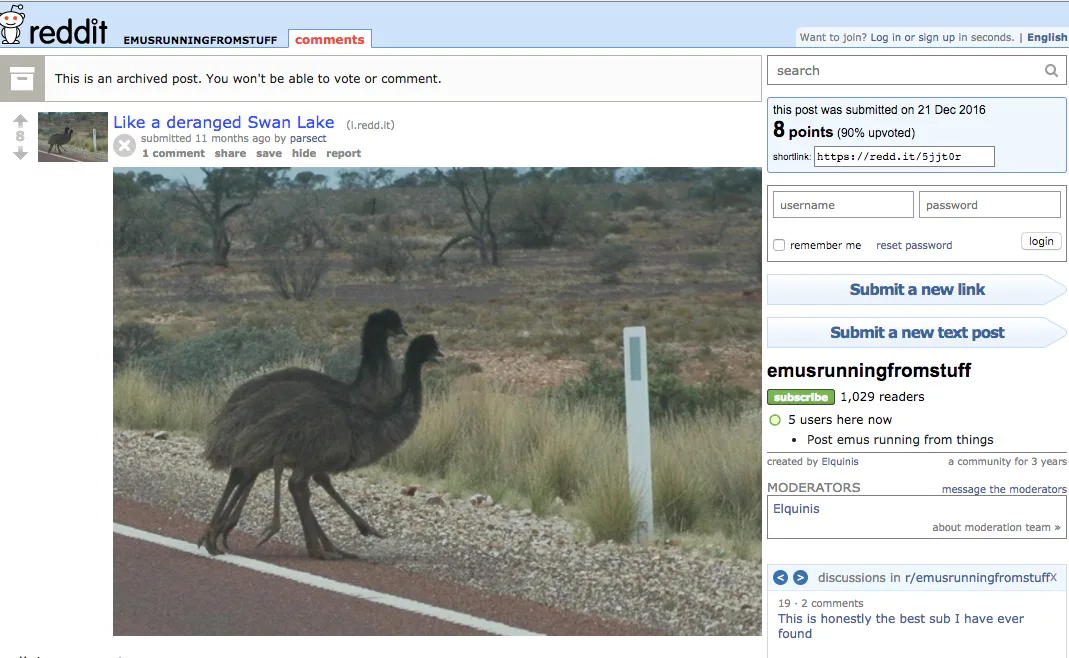 The 12 Best Animal Subreddits in One Ranked List, From Cute To Bizarre