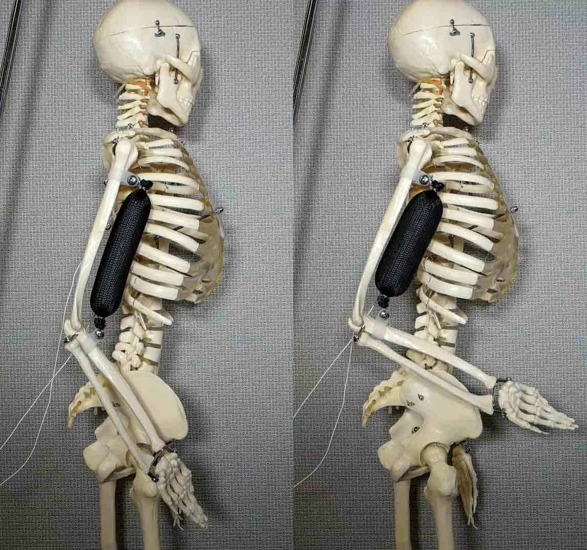 Columbia Roboticists Overcome a 'Final Barrier' to Lifelike Robots