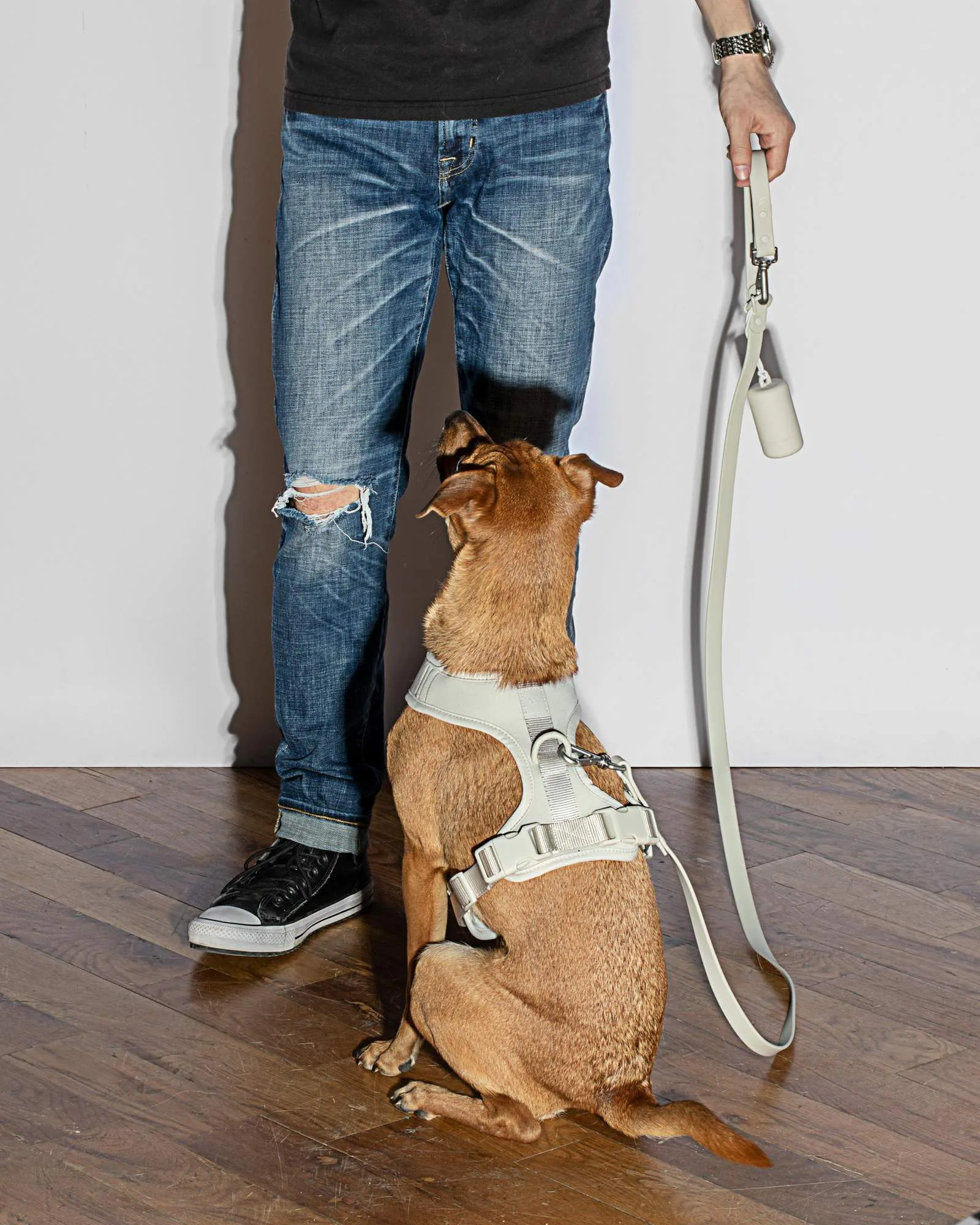 Make Walking Your Dog Easier With These Kits