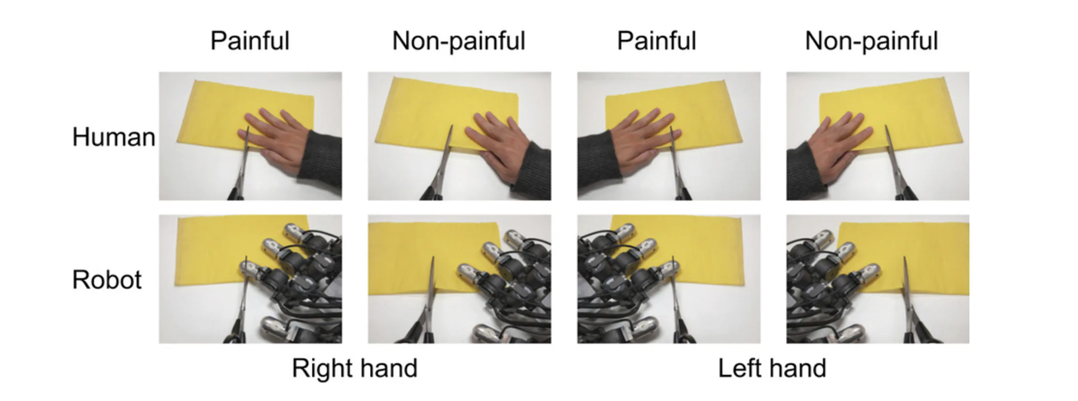How We Empathize With Robots