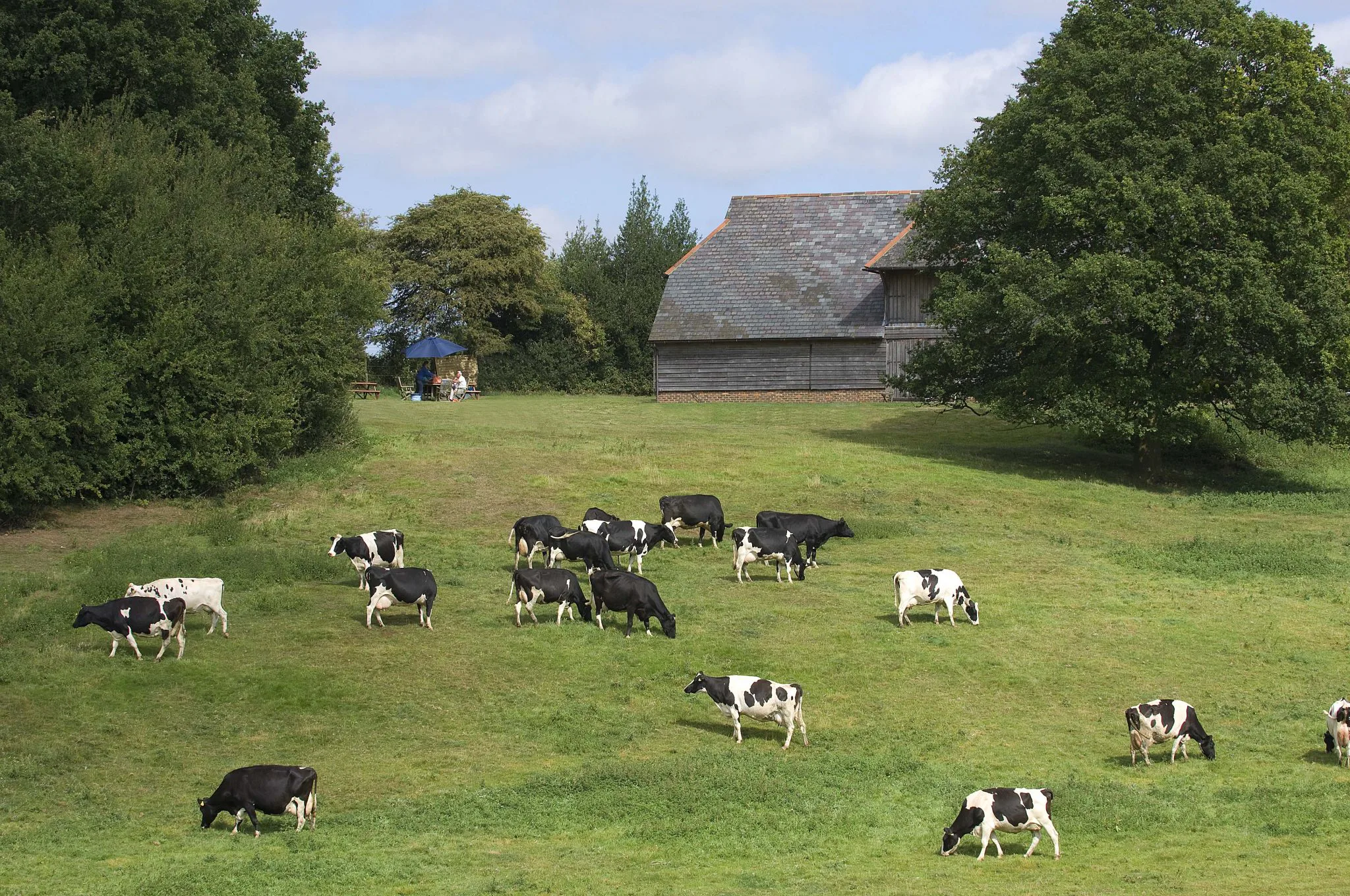 Tesla Batteries Power This 500-Year-Old Cheese Farm in the UK
