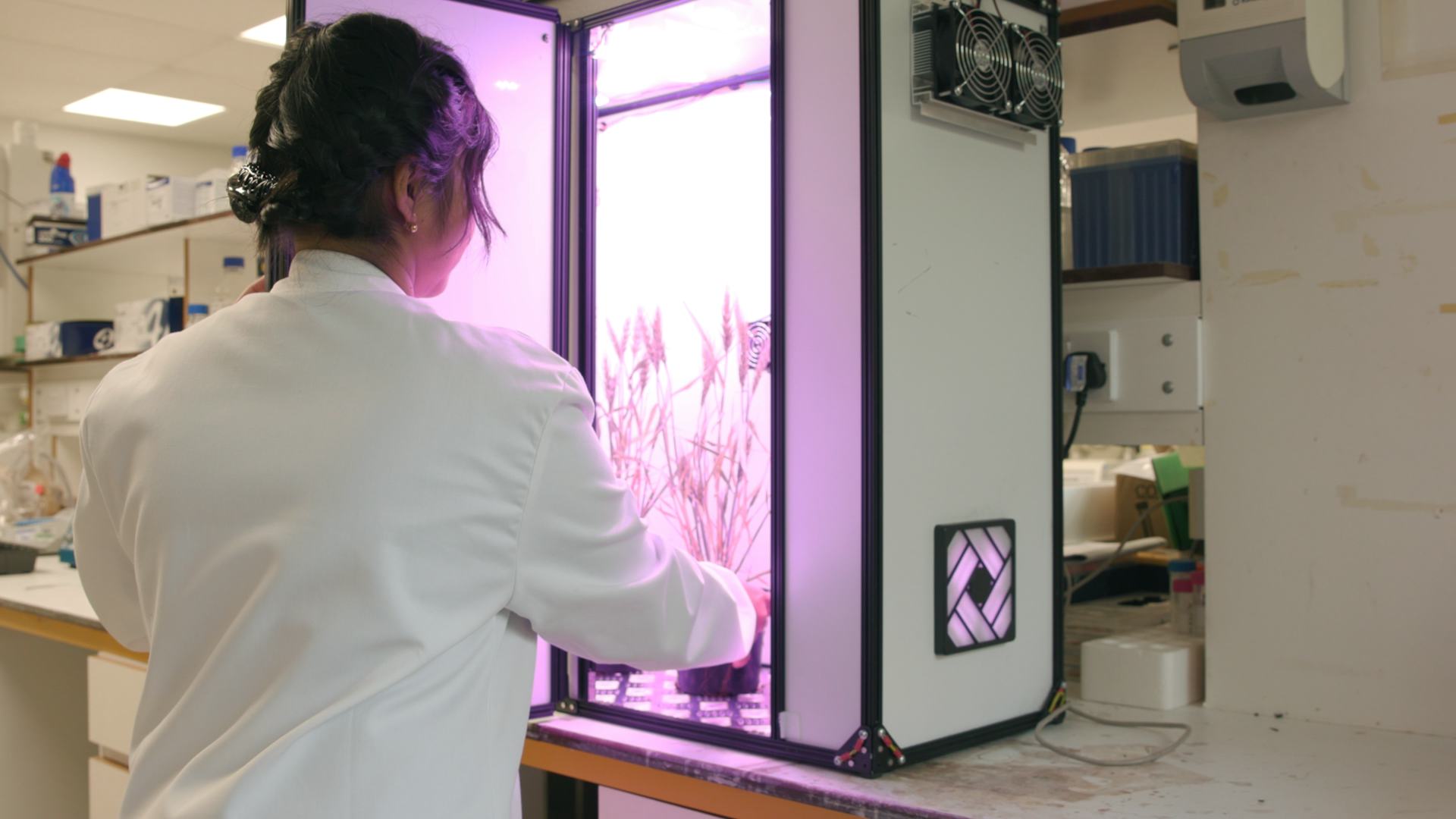 Video Shows How NASA-Inspired Crop Technology Could Improve Food on Earth