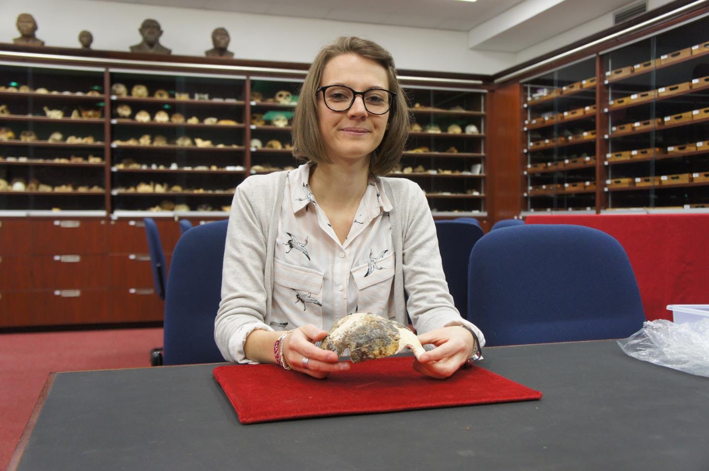 South Africa's 4-Million-Year-Old Skull Reveals New Human Evolution Clues