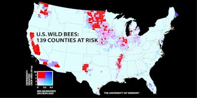 These Maps Show How Bad It's Become for U.S. Bees