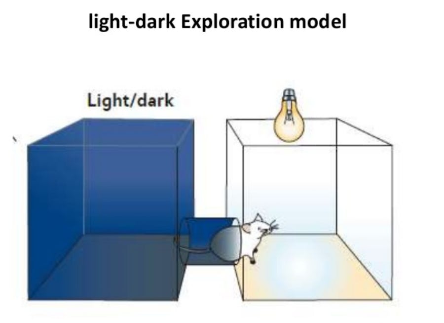 Some Foods Change Depression-Linked Bacteria in Your Gut, Say Scientists