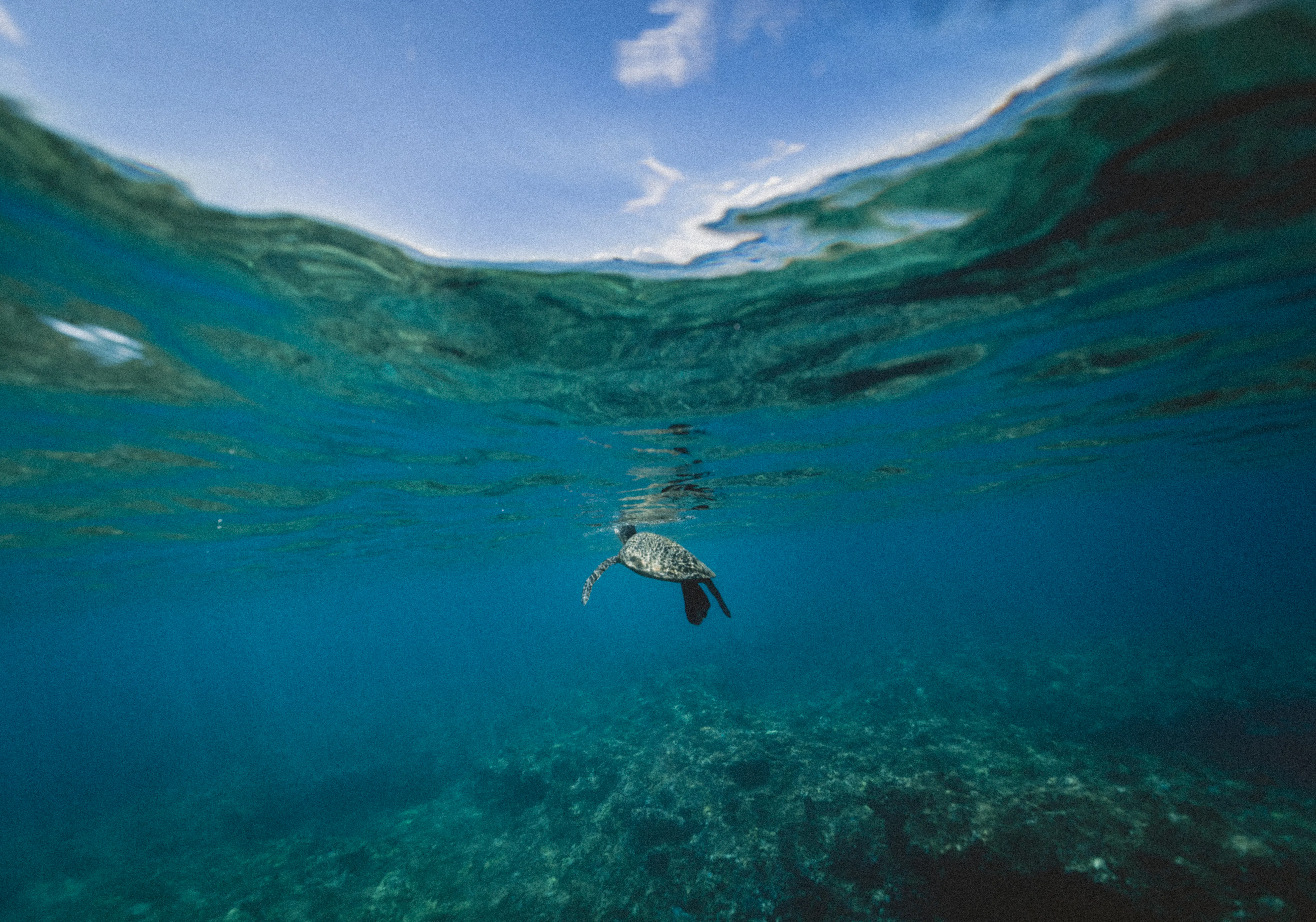 Climate Change Will Shift the Ocean's Color by the End of the 21st Century