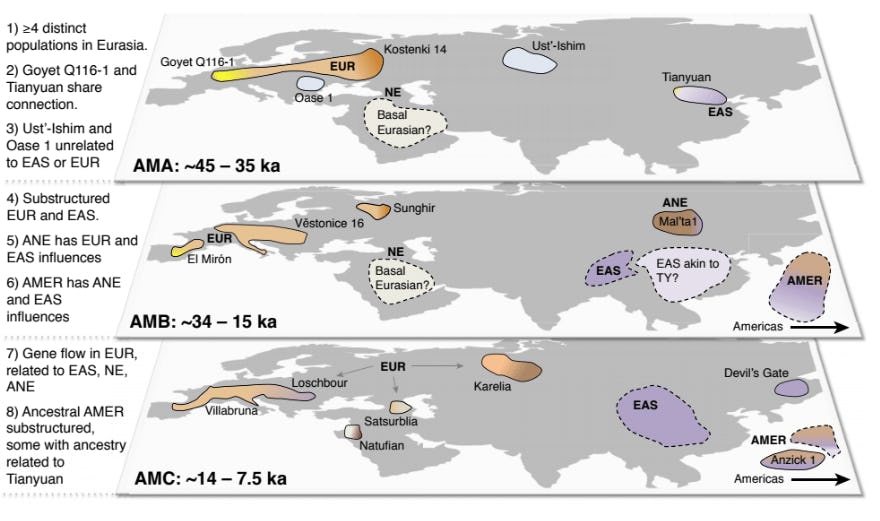 Ancient Genomes Reveal Complicated Split into Europeans and Asians