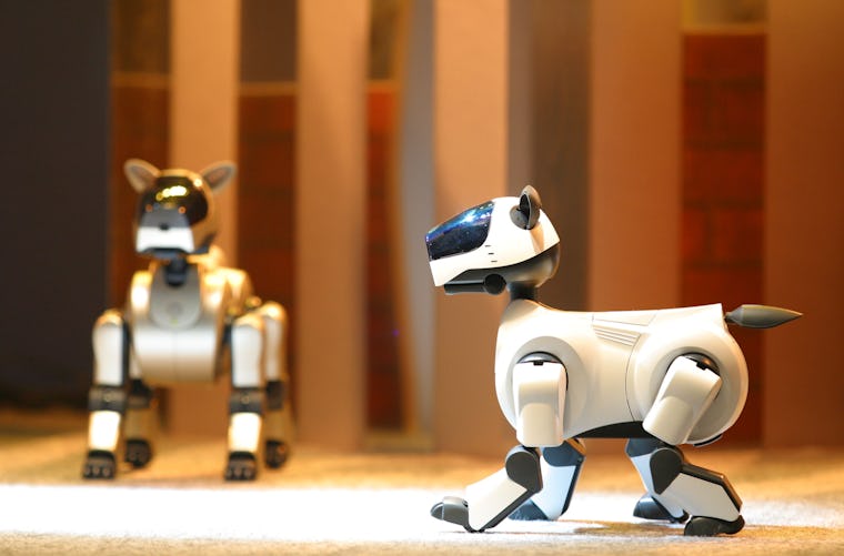 25 Examples of How Artificial Intelligence Will Change You by 2027