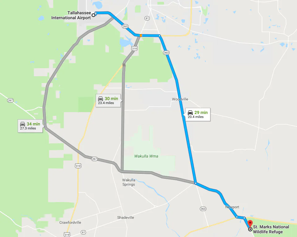 'Annihilation': How to Visit the Real-Life "Area X"