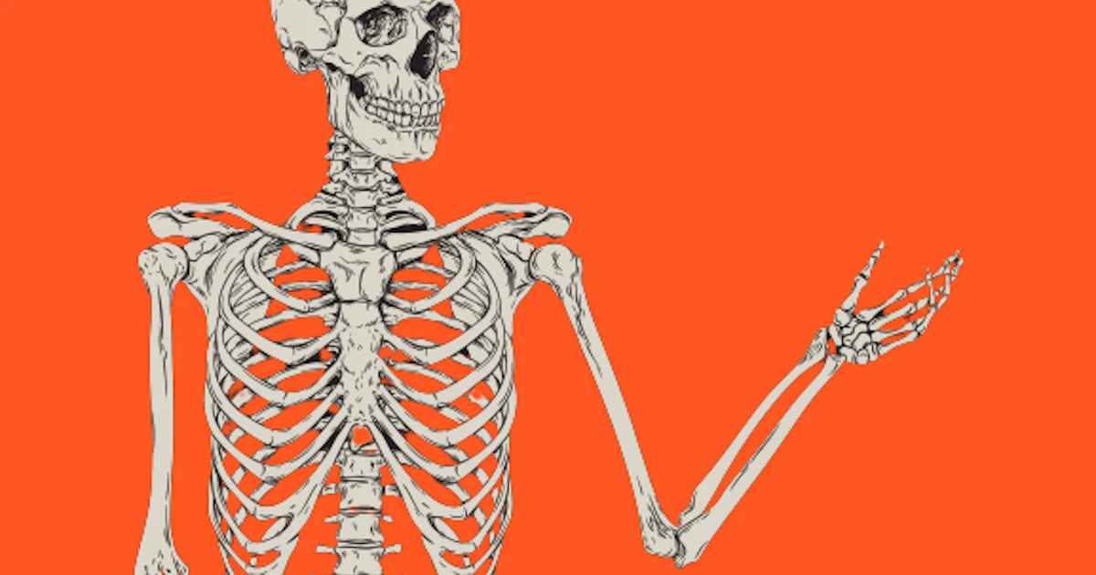 6 Truly Bizarre Facts About The Human Skeleton 6 Truly Bizarre Facts About The Human Skeleton
