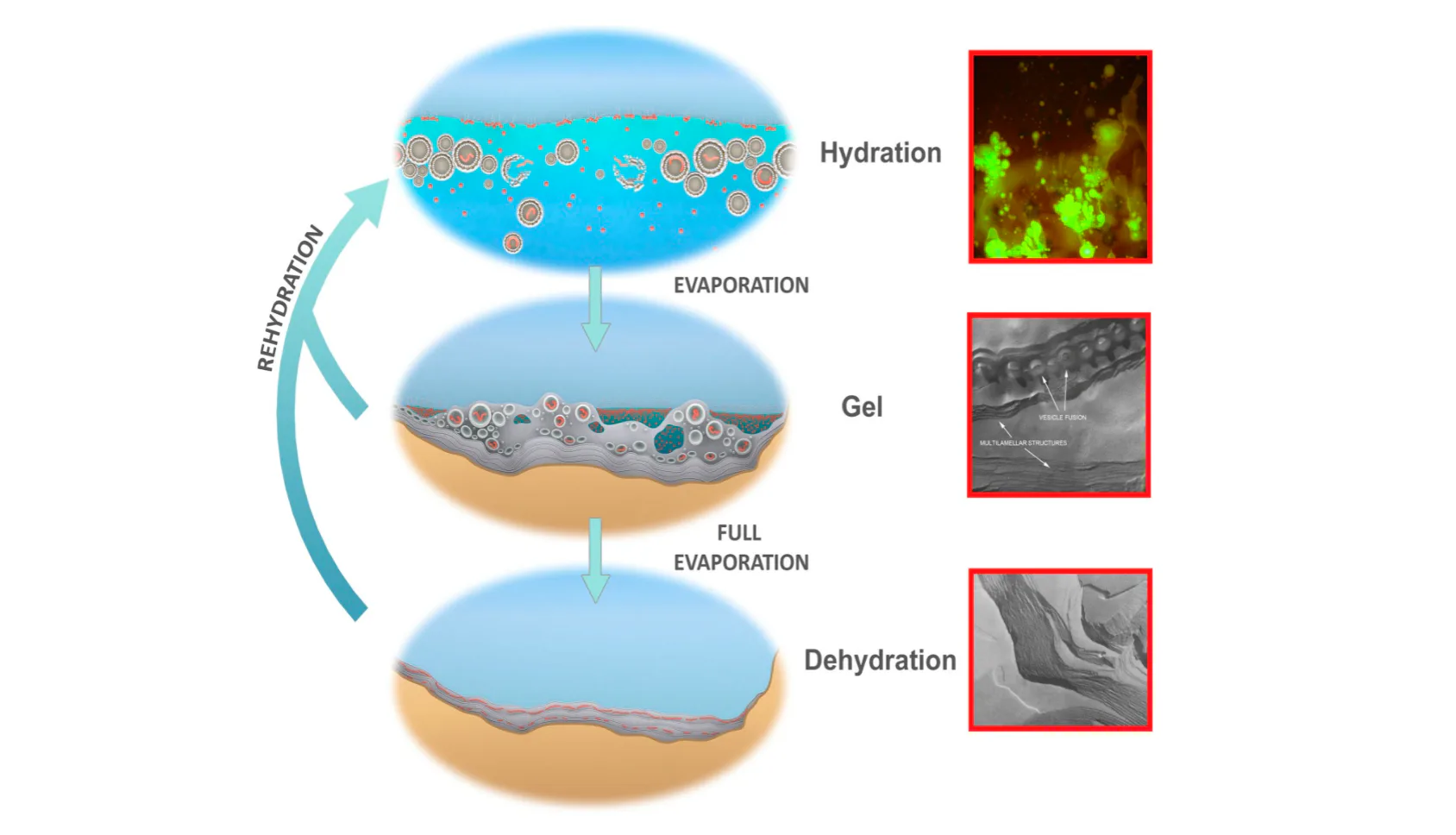 Controversial Theory Argues That Life On Earth Began On Land, Not Sea