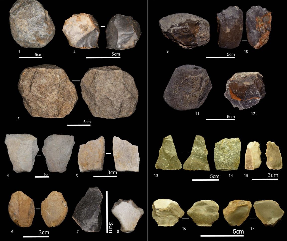 "Cradle of Humanity" Reconsidered in Light of New Stone Tool Discovery
