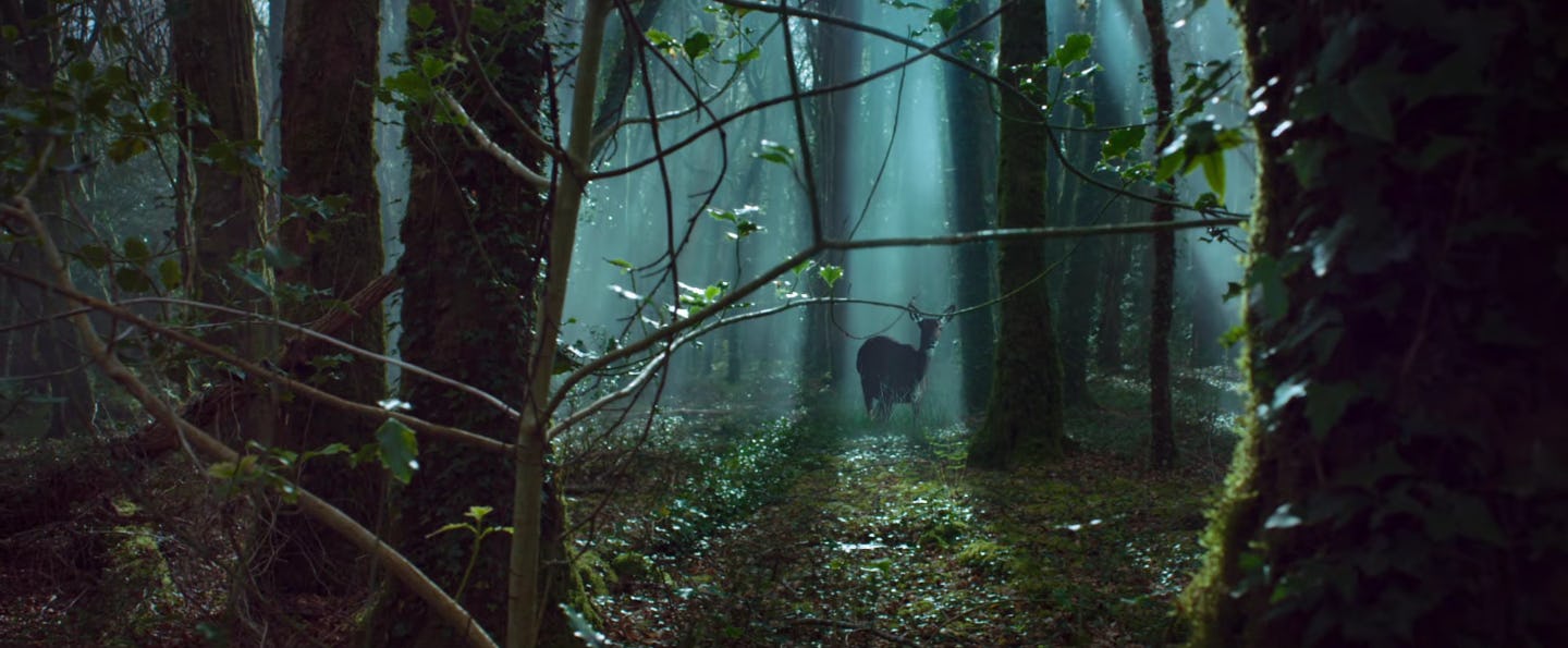 'The Hallow' Was the Best Horror Movie of 2015 and Also the Most Irish