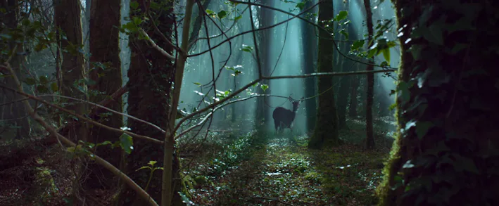 'The Hallow' Was the Best Horror Movie of 2015 and Also the Most Irish