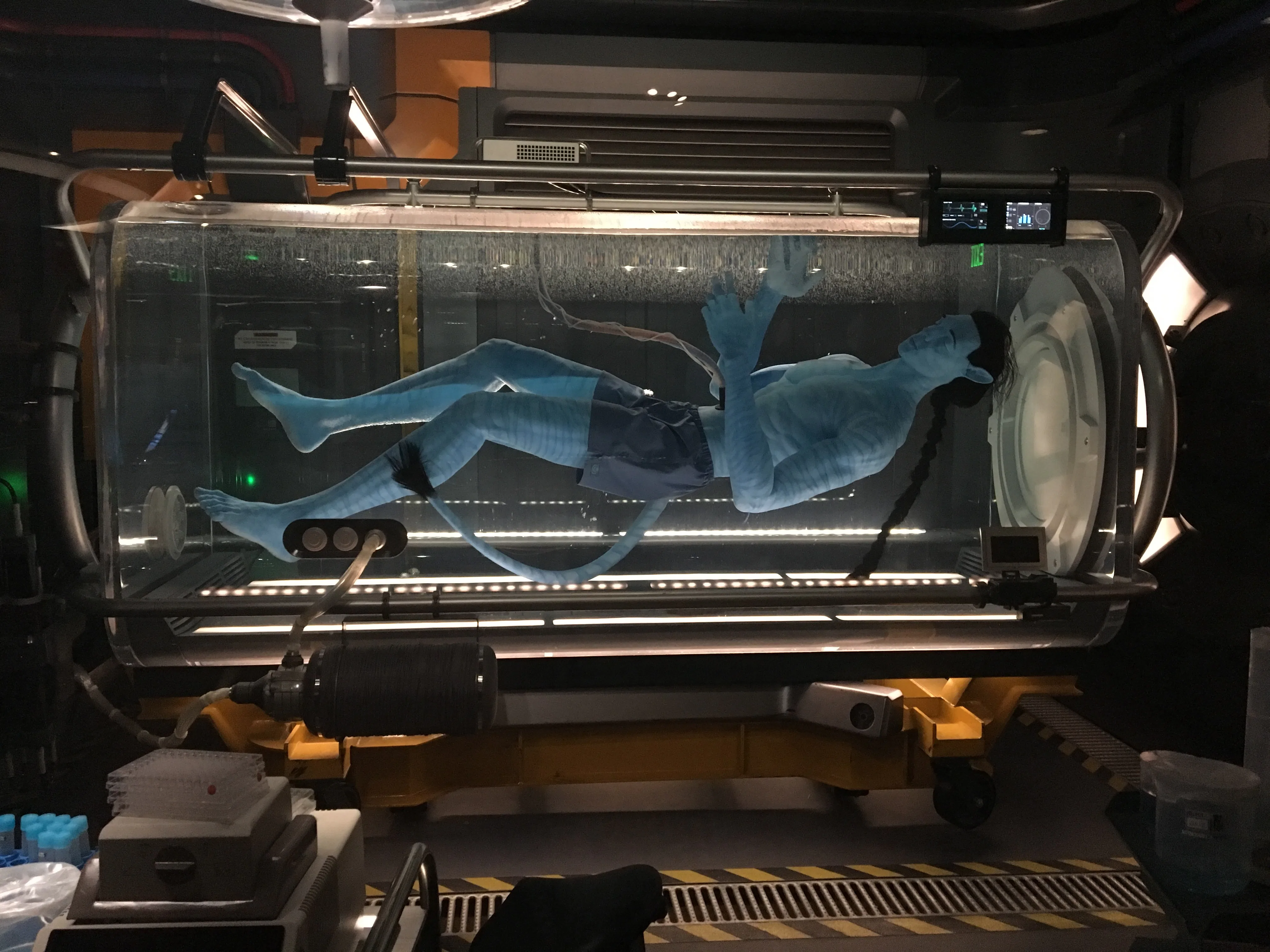 "Avatar Flight of Passage" Ride Review at Disney World's Pandora