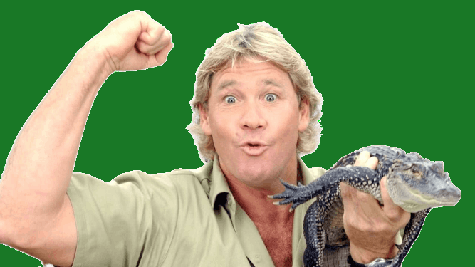 Steve Irwin: He Gave Attention to One of Nature's Saltiest Big Boys