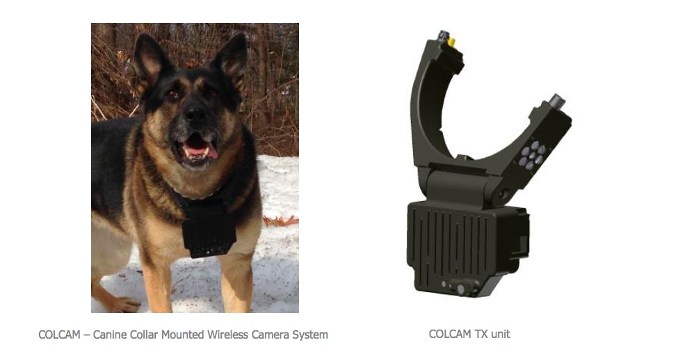 Military Dogs Wearing Remote-Controlled Cameras Are the Future of Espionage