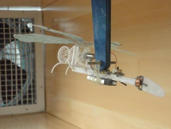 5 Robot Animals You Need to Know About