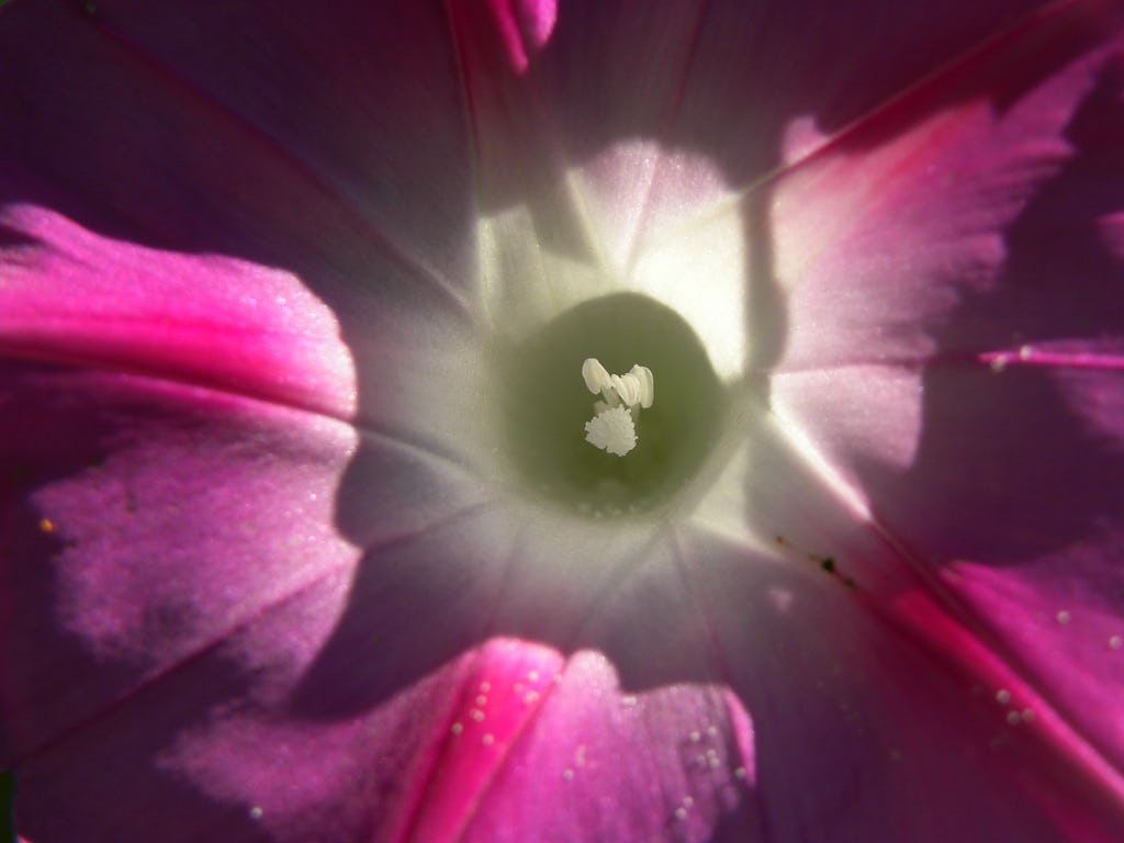 Natural History Museums Are Full of Misidentified Specimens