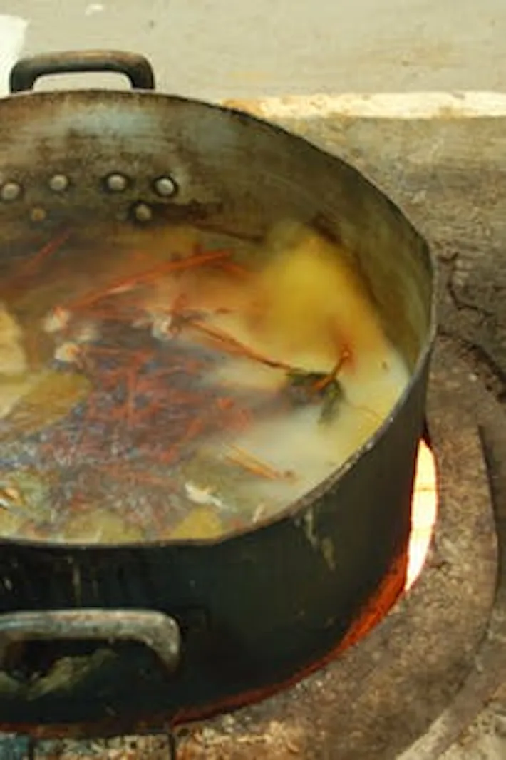 How an Amazonian Psychedelic Brew Could Be Used to Treat Depression