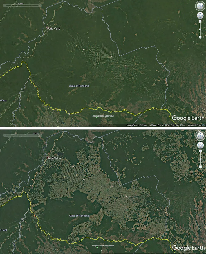 World's Remaining Wilderness Is Revealed in 5 Detailed Maps