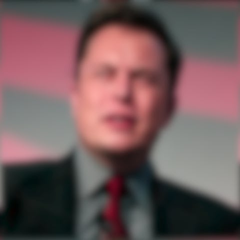 Pet Vision Study Shows What Elon Musk and Chewbacca Look Like to Cats