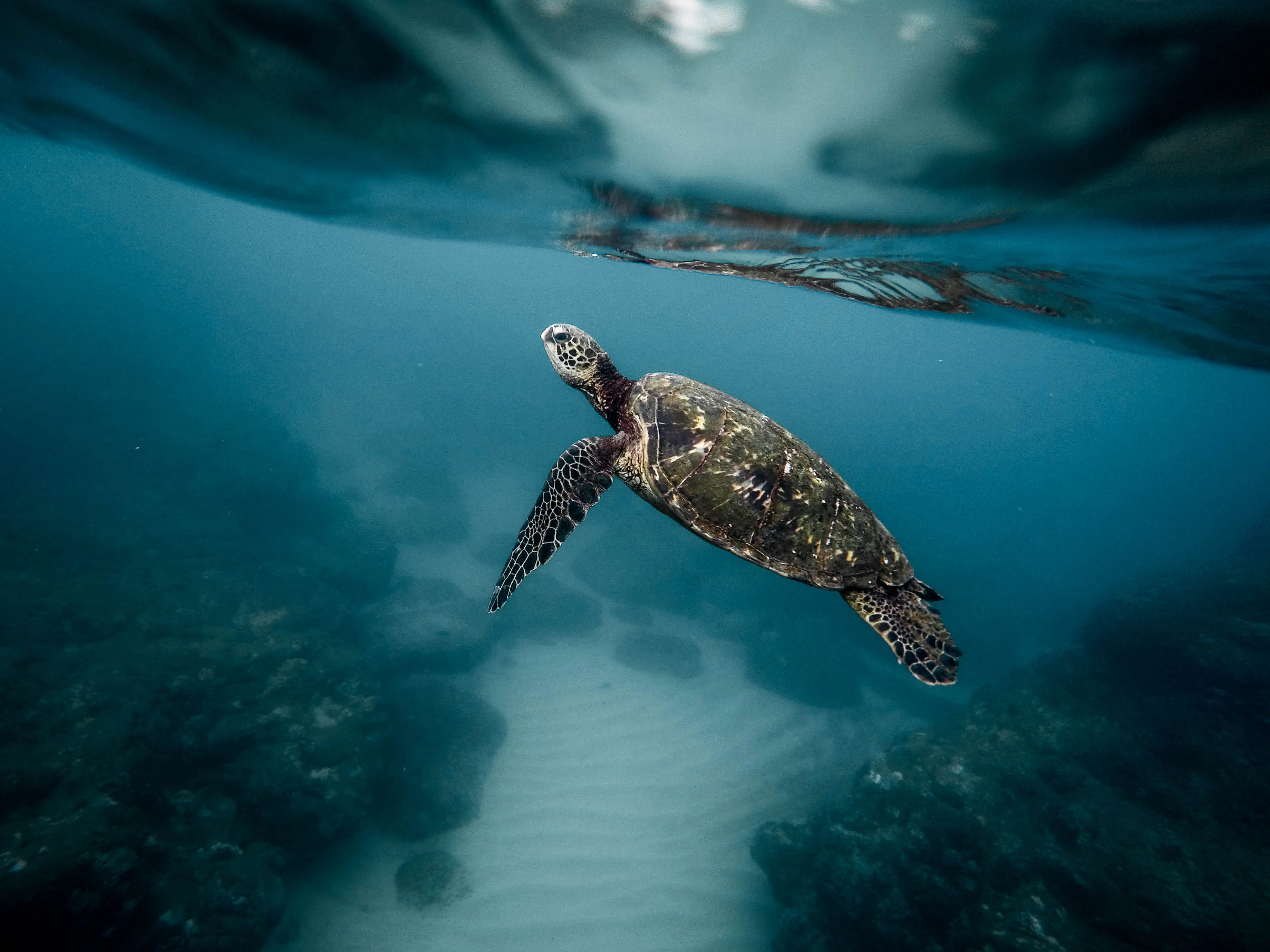 Climate Change Is Driving an Accelerated Warming of the Oceans