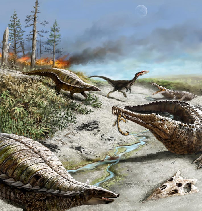What Killed the Dinosaurs? New Study Says Toxic Plants Trigger Their Demise