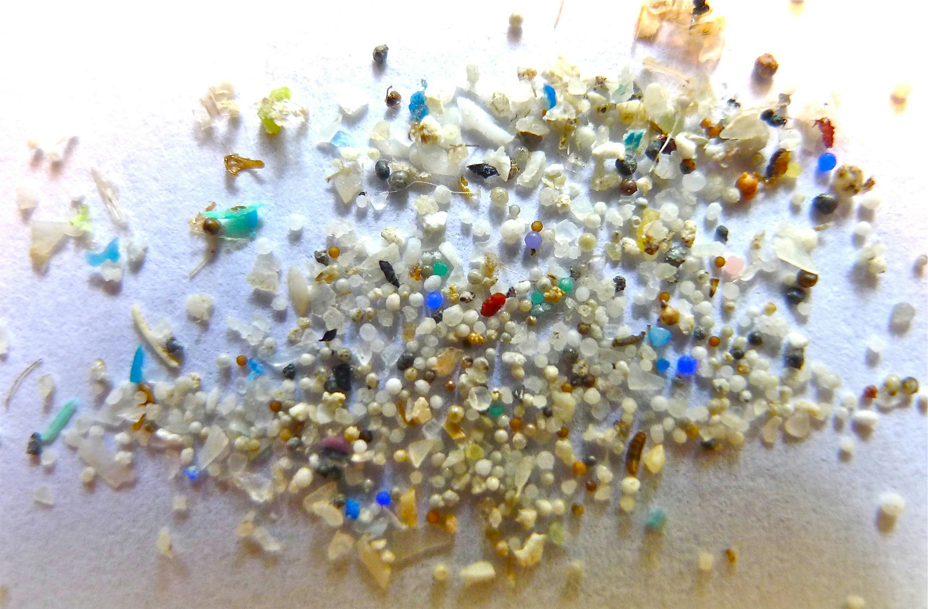 Scientists Want to Ban Glitter: Here's Why the Microplastic Has Gotta Go