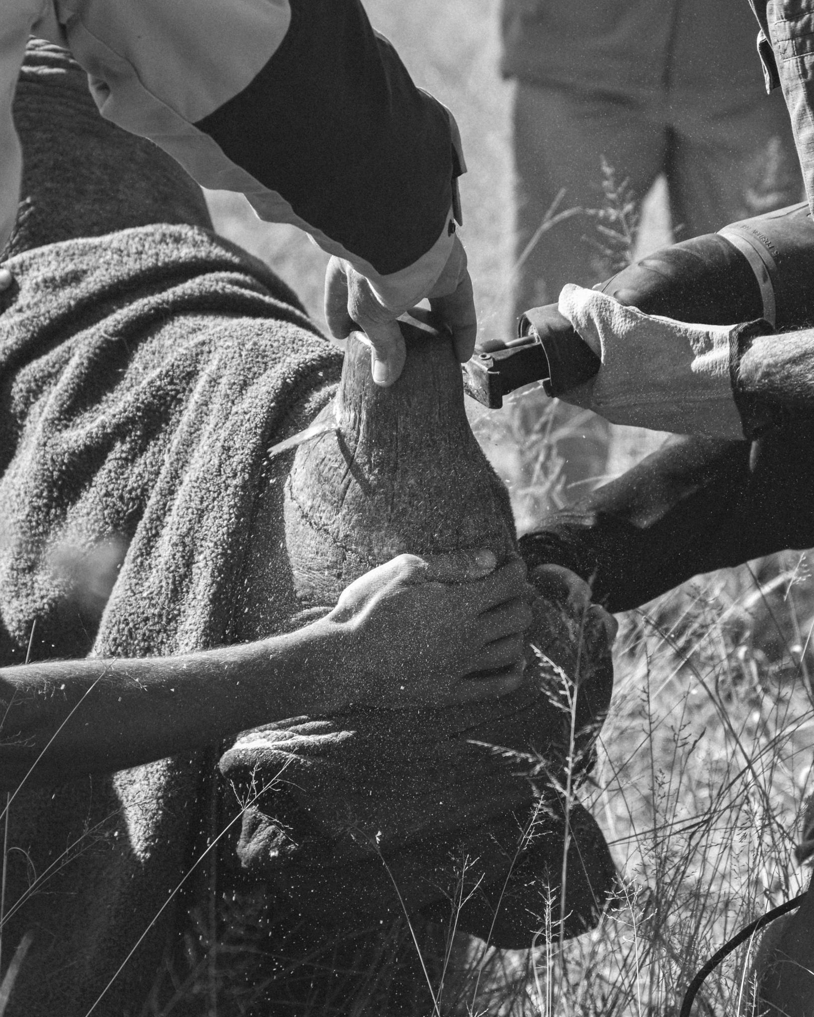 These 6 images capture some of the stunning diversity of life on Earth