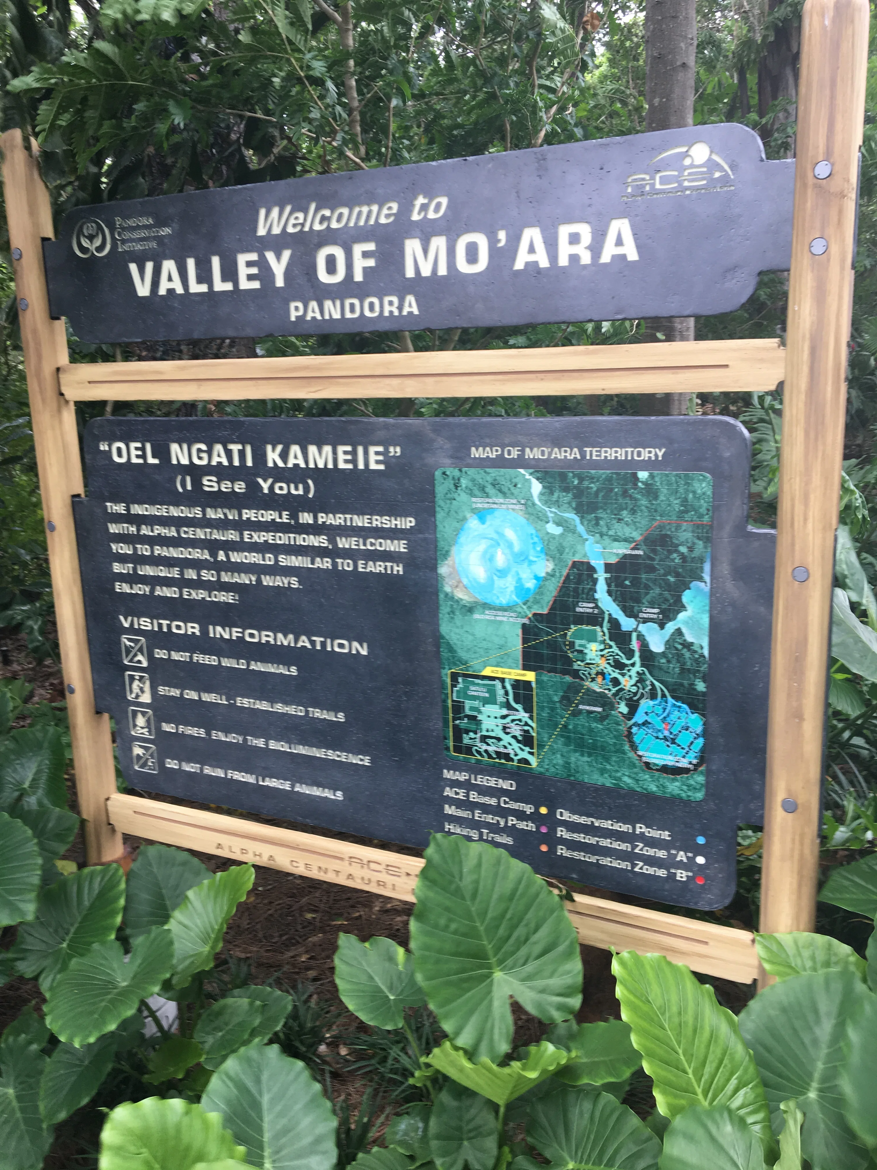 Disney's Avatar Park Focuses on a New Story