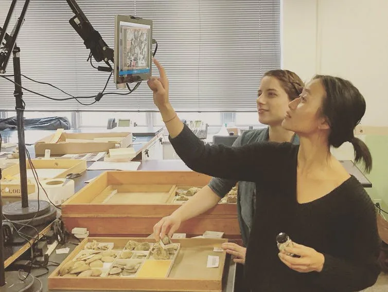 Why Museums Need to Go Digital to Understand the Past, Says Paleontologist