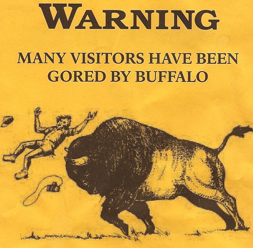 The Psychological Reason Why People Approach Large Animals