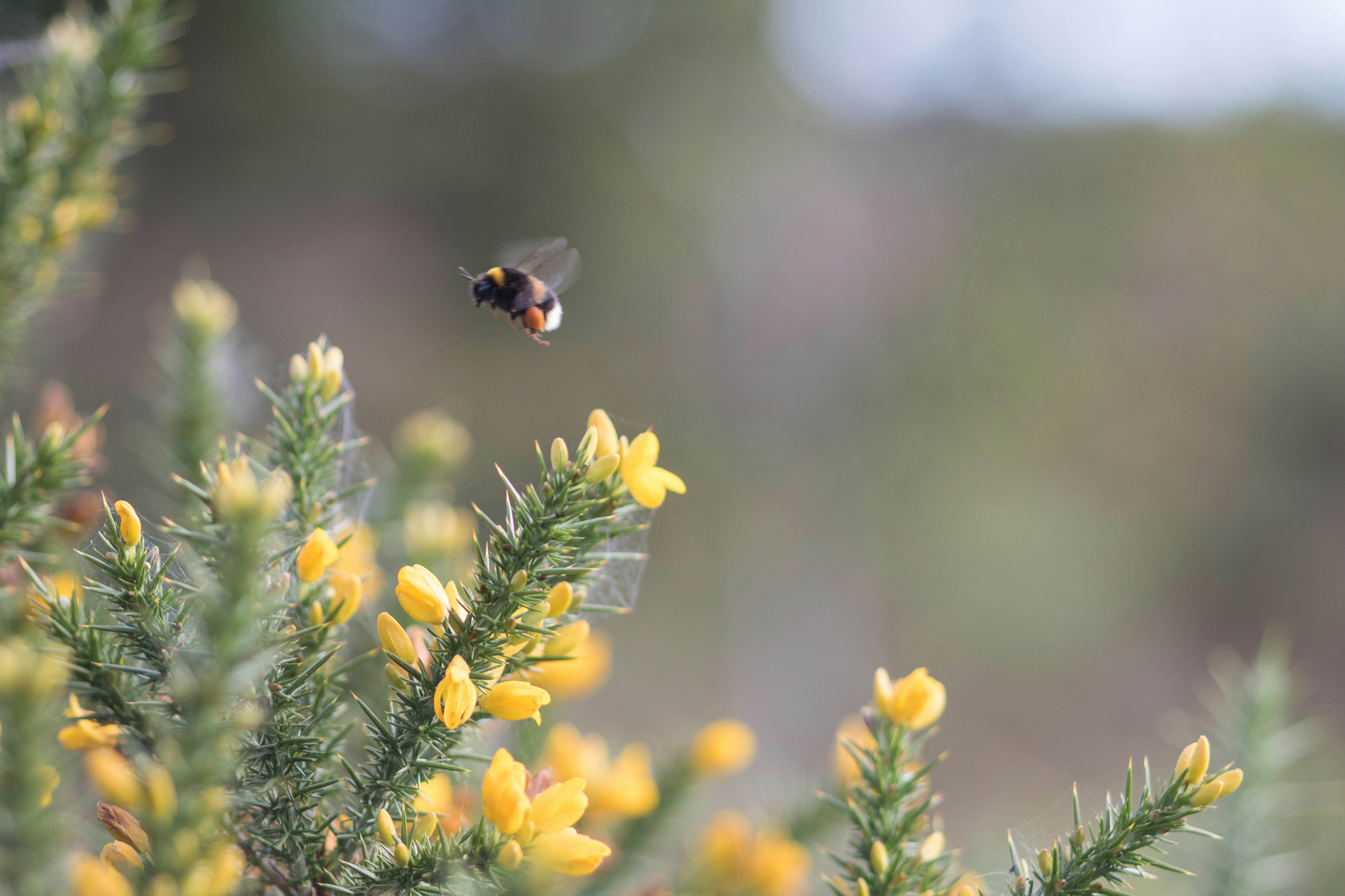 Why Pollen Allergy Season Causes Vertigo, According to Science