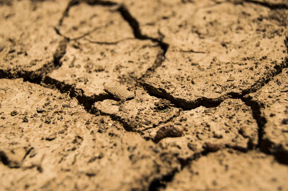 Ancient Mud Reveals an Explanation for Sudden Collapse of the Mayan Empire