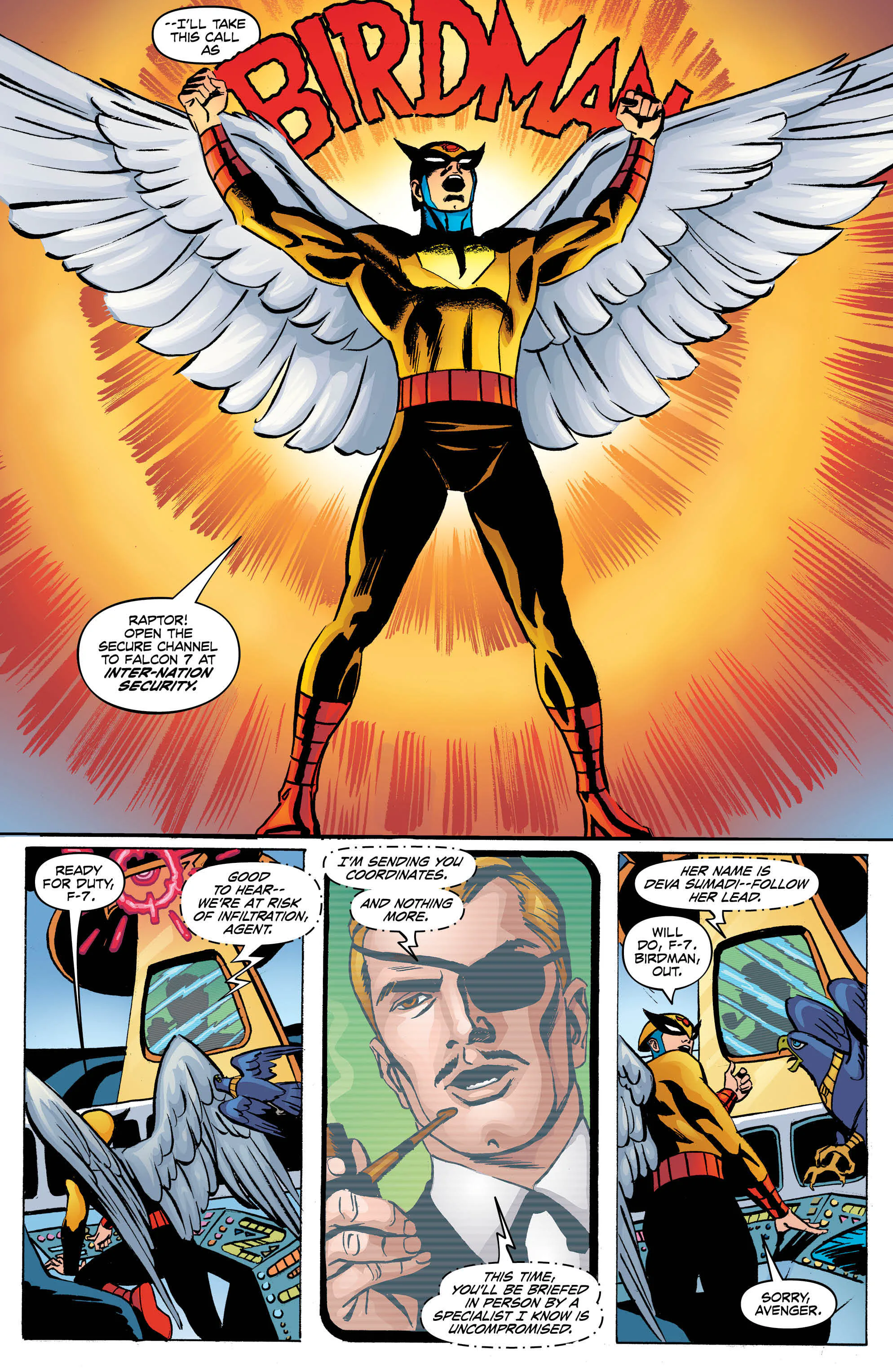 Birdman Superhero Dc