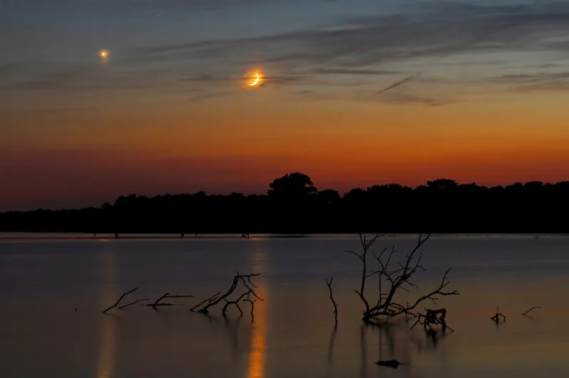 Look Up At The Sky Day: 5 Celestial Wonders to See in April