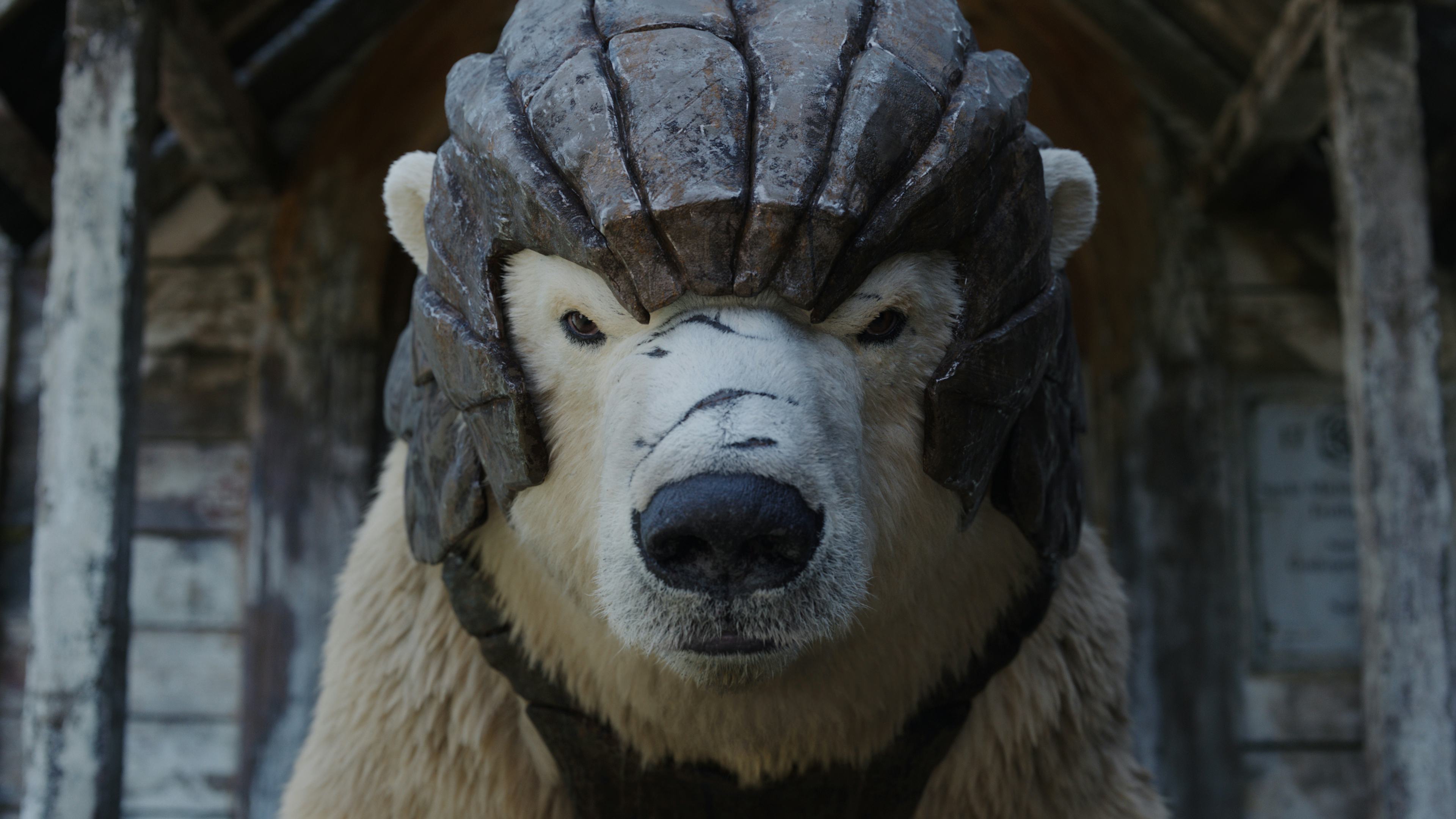 'His Dark Materials' SDCC Trailer: Armored Polar Bears, Explained