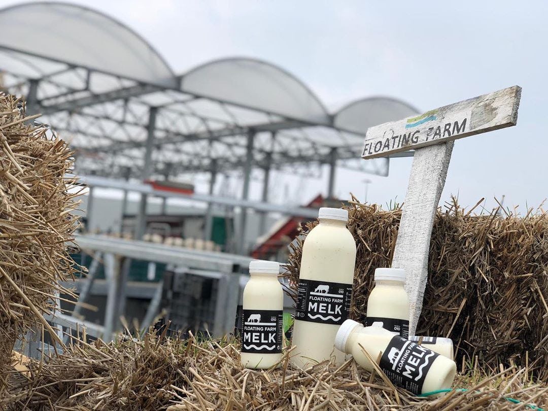 World's First Floating Dairy Farm Uses Solar & EVs to Fight Climate Change