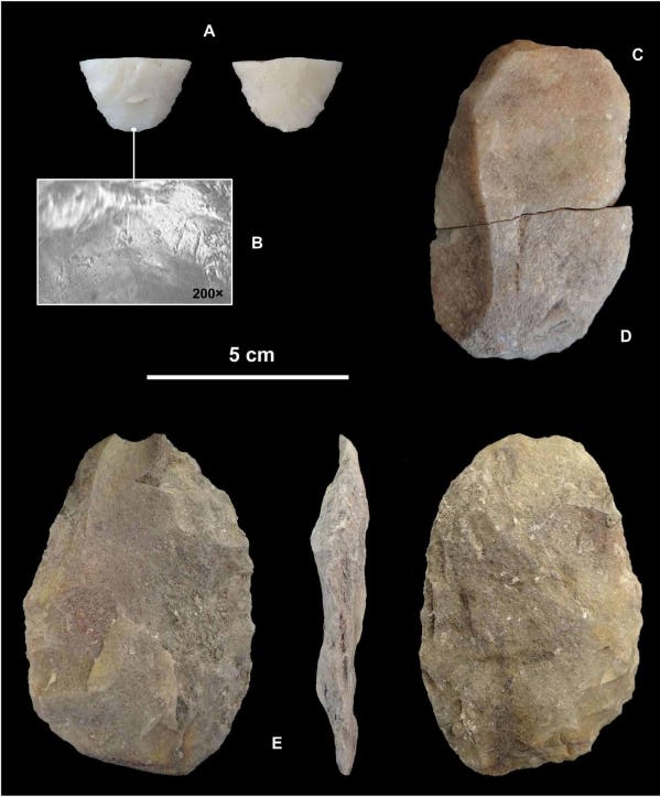 Giant Ground Sloth: 12,600-Year-Old Bones Reveal Humans' Role in Extinction
